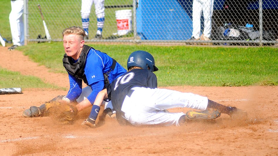 Grown-Up Bear | News, Sports, Jobs - Post Journal